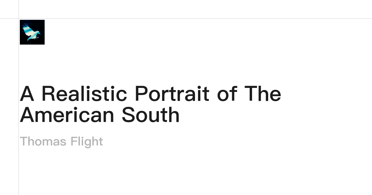 A Realistic Portrait of The American South · Thomas Flight